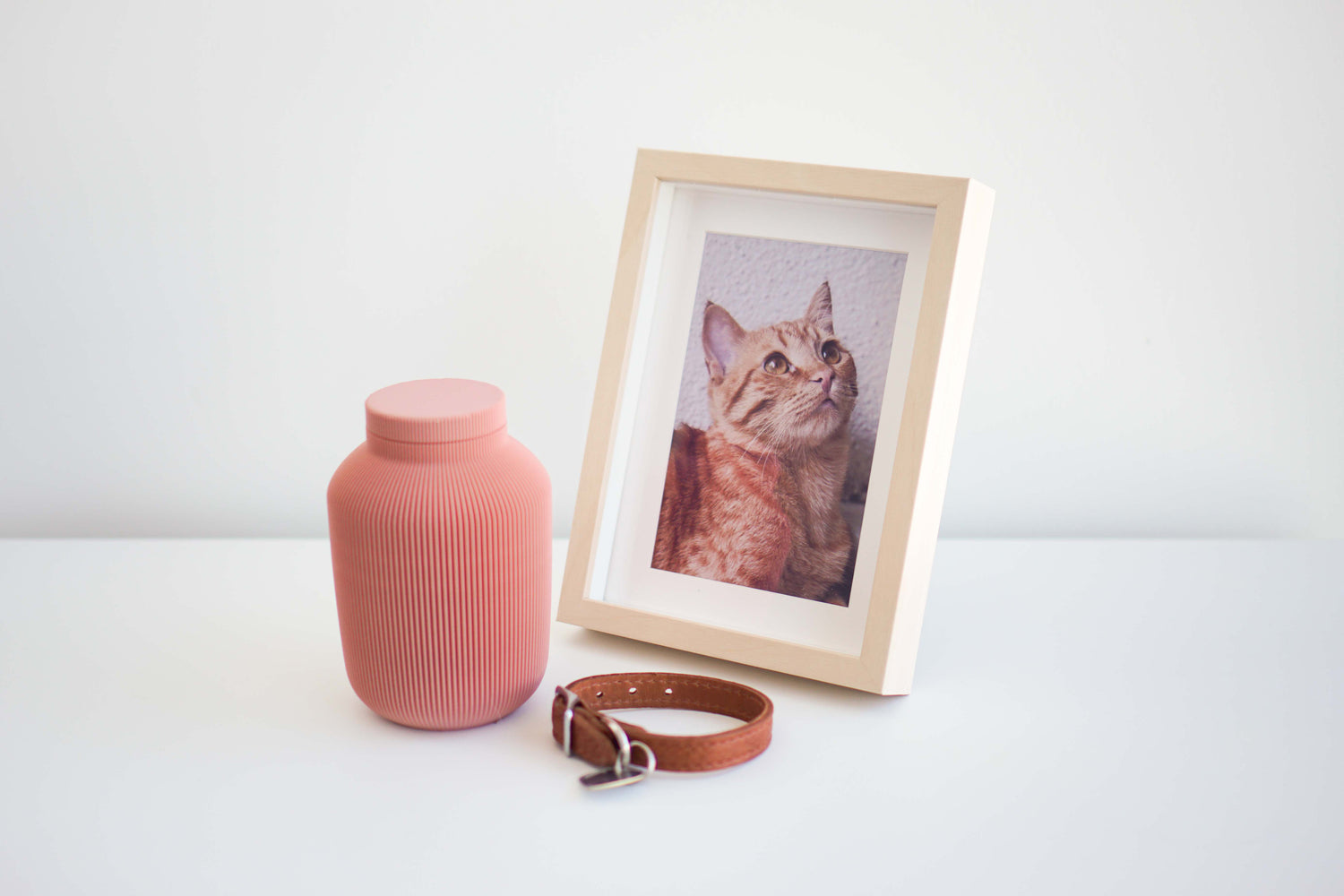 Fauna – Fauna Memorials